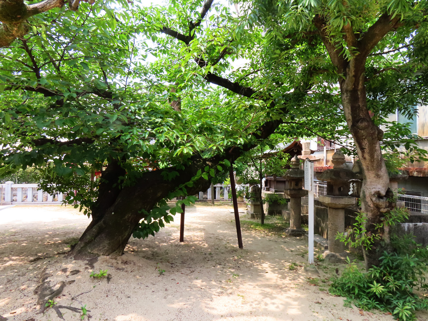 阿保親王塚古墳・打出天神社など: てくてくの撮り歩記