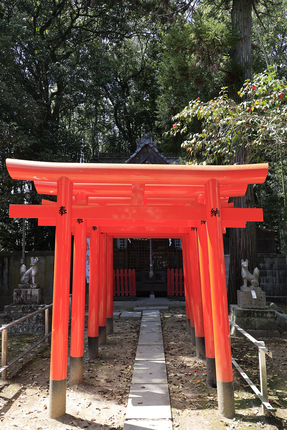 北摂・三田を歩く (三田天満神社など): てくてくの撮り歩記